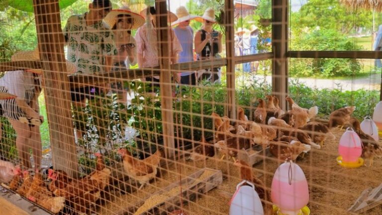 Grandma's Home Cooking School (Chiang Mai) | Olsen Tours